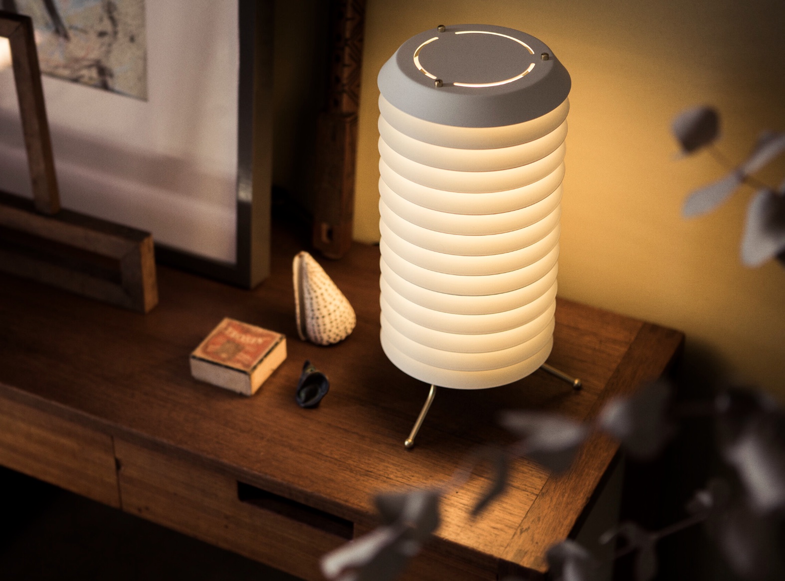 Maija 1 • THE LIGHT REPORT