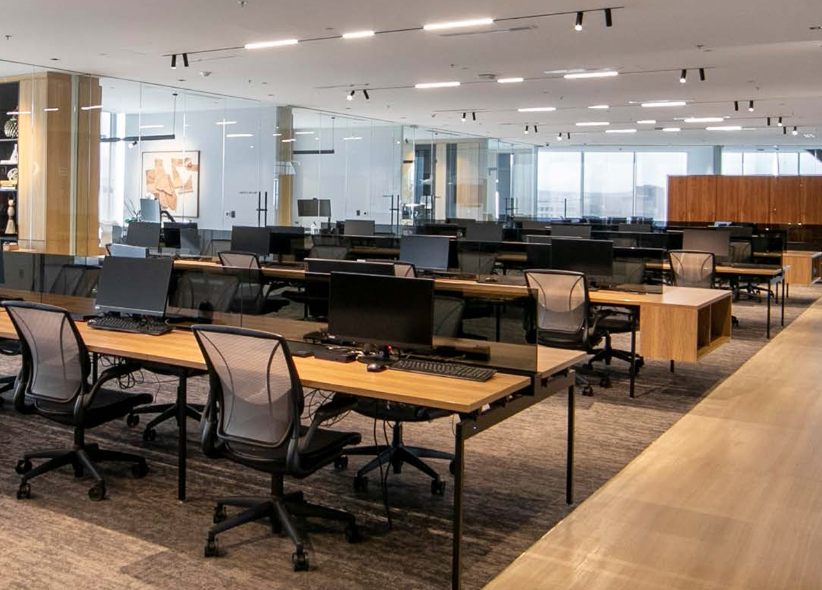 Neso 1 • THE LIGHT REPORT